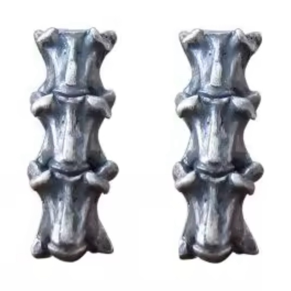 Accessories | Spinal Cord Spine Column Backbone Vertebrae Bones ...